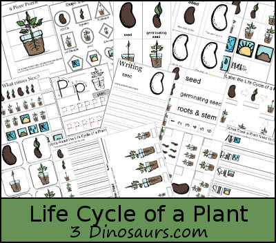 Freebie Friday ~ Botany Resources - Monsters Ed